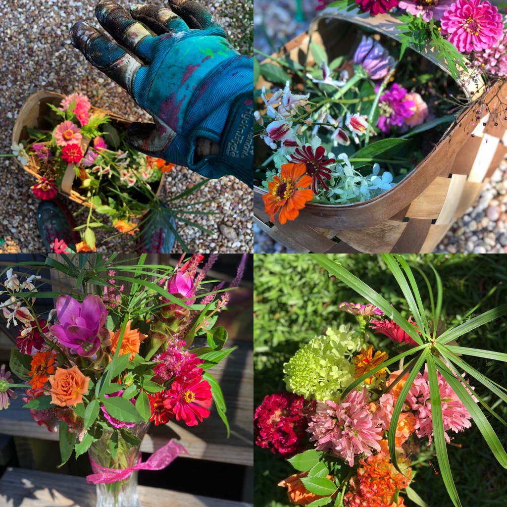 Why Do I Create? – Ann Lutz Art